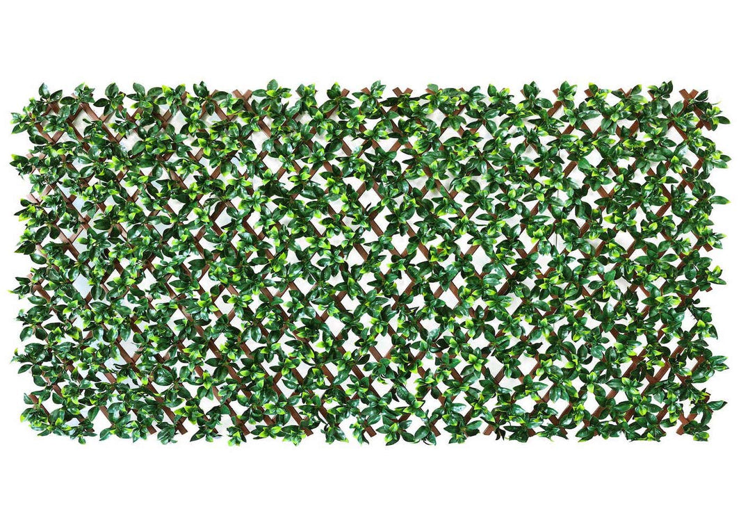 Styles - GreenSmart Dekor