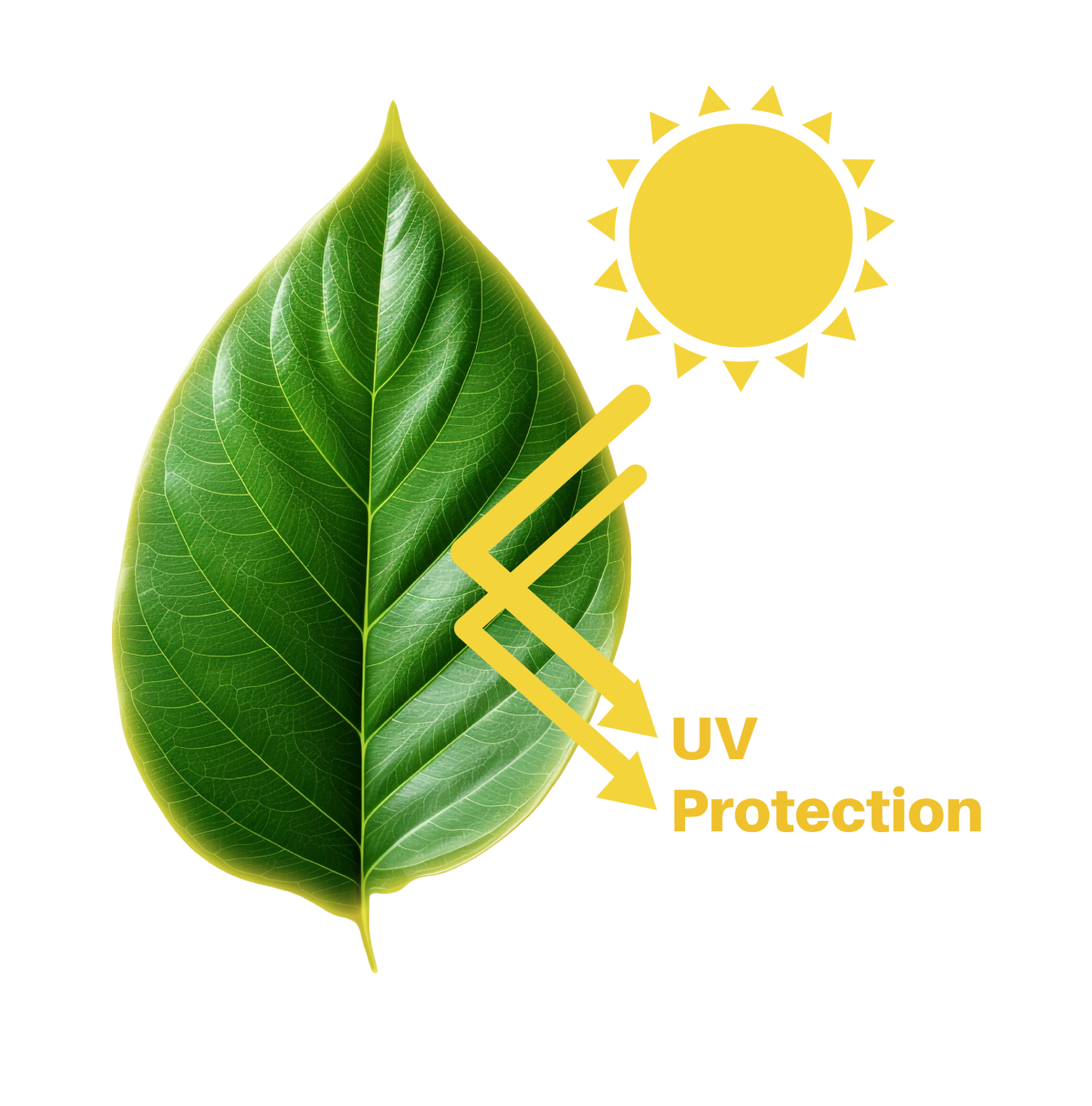 GreenSmart Dekor Greensmart Dekor