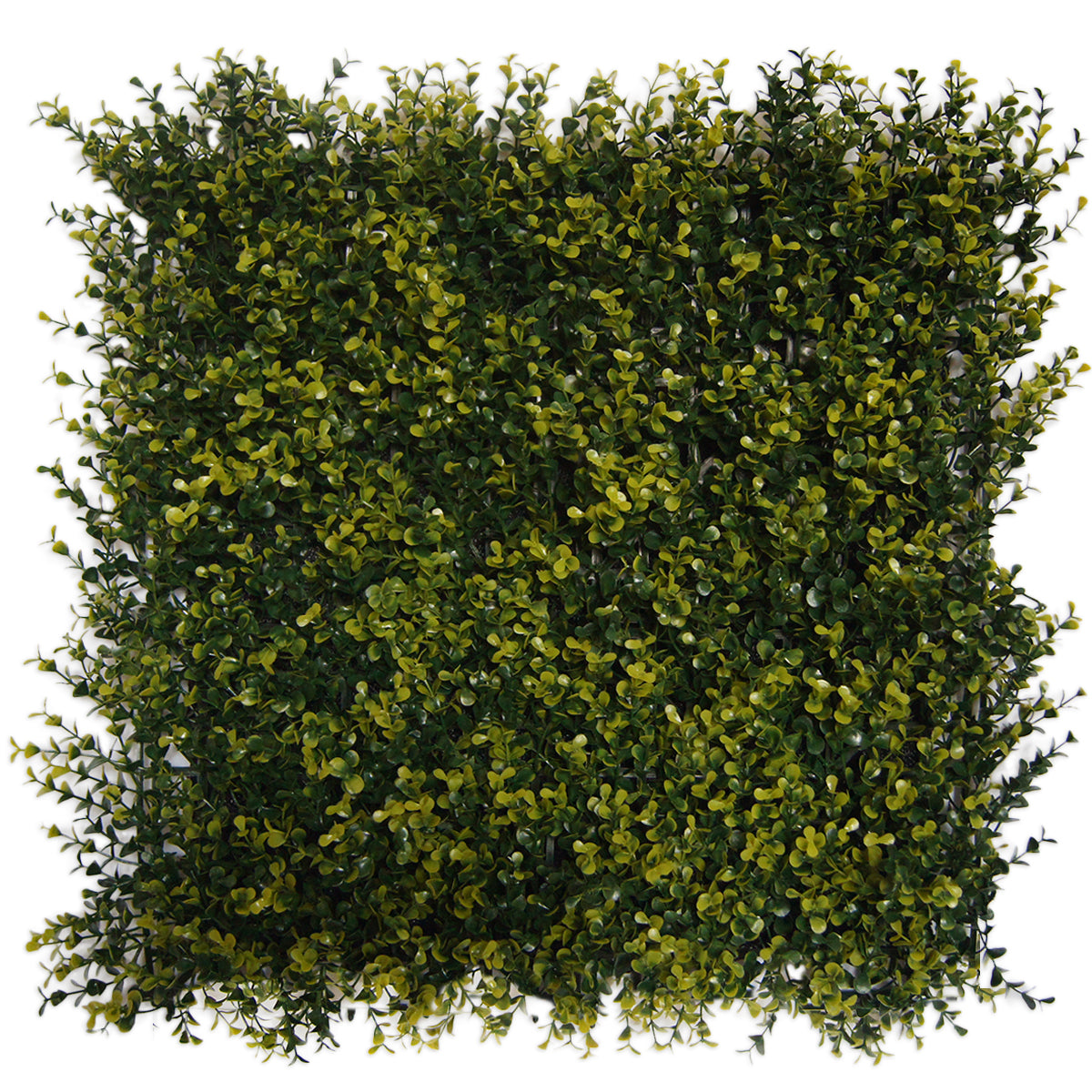 Ficus Spring Green Wall Panels by GreenSmart Dekor - Set of 4