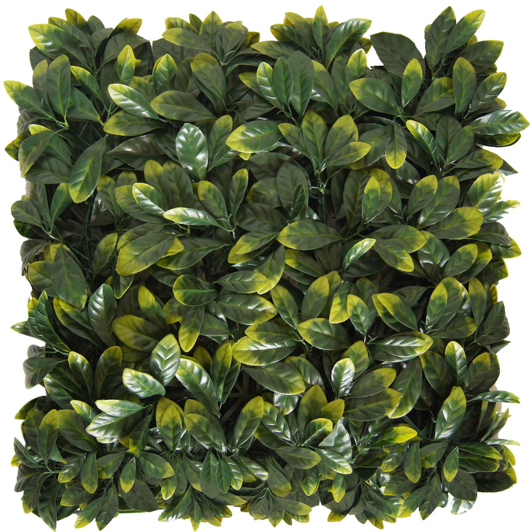 Gallery GreenSmart Dekor - GreenSmart Dekor