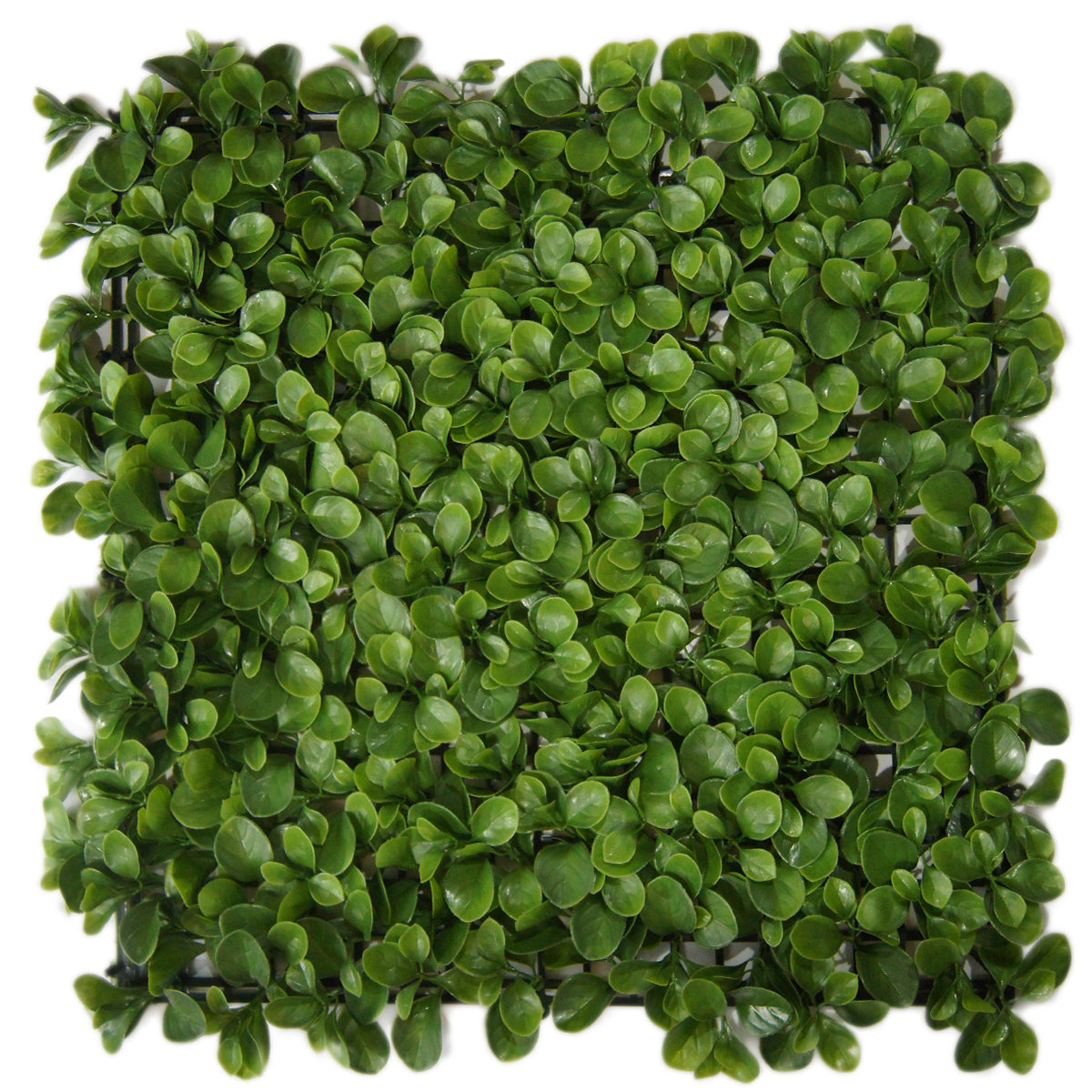 GreenSmart Dekor - The Original Artificial Green Wall Panels